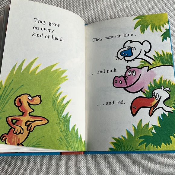 Dr. Seuss | Accents | Vintage Dr Seuss Book 961970 Green Egg And Ham ...